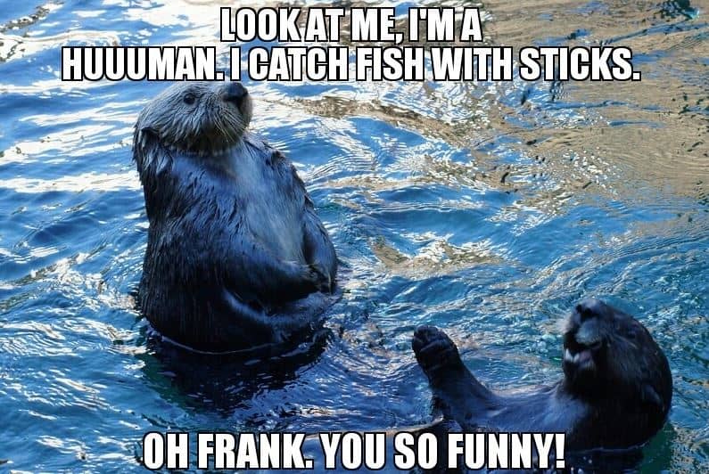 Funniest Memes In The History Of The Internet For You To Enjoy