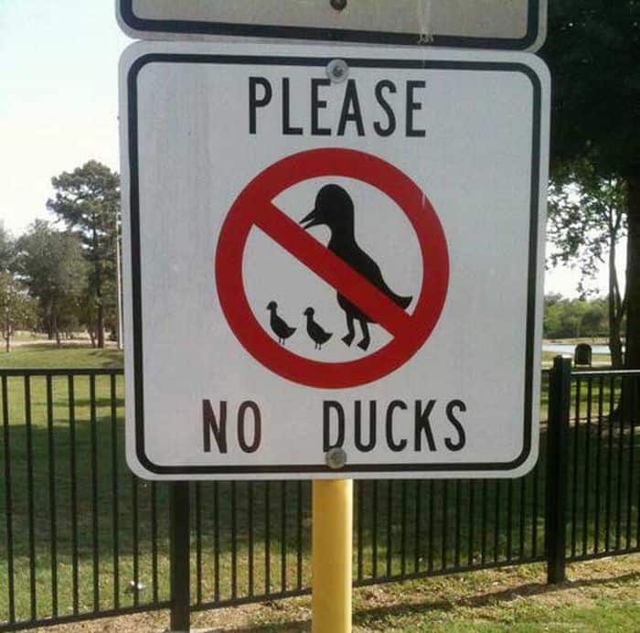 20 Signs That Make Absolutely No Sense GALLERY 