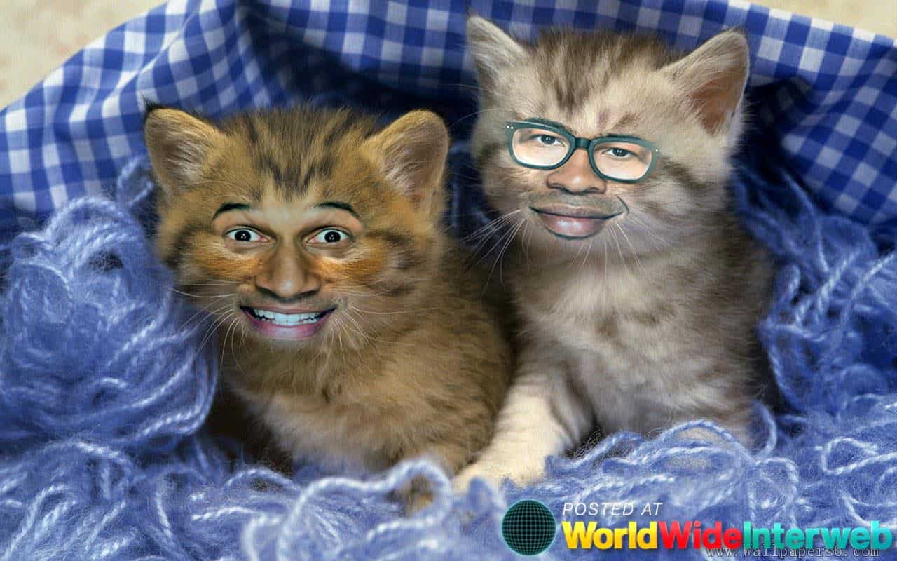 Cat Key & Peele - WorldWideInterweb