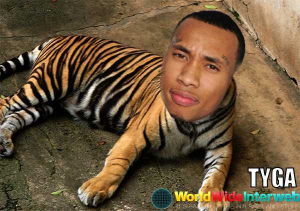 tyga-tiger - WorldWideInterweb