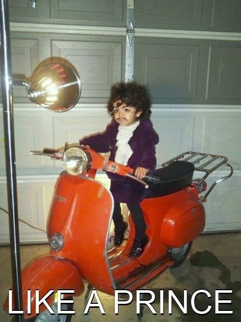 prince kid - WorldWideInterweb