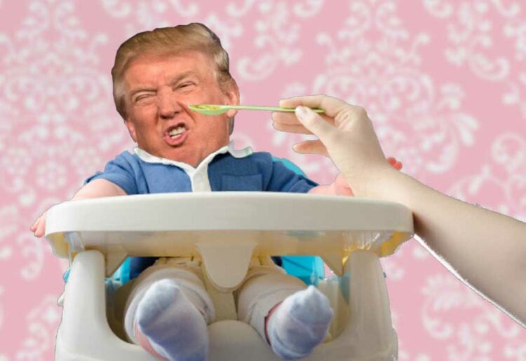 The 25 Funniest Donald Trump Photoshops Ever (GALLERY) | WWI