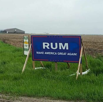 25 Funny Voting Signs That Might Motivate You To Vote... But Probably No