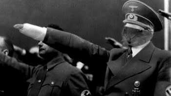 Photoshop Battle: Tiny Hamster With a Cast (GALLERY)