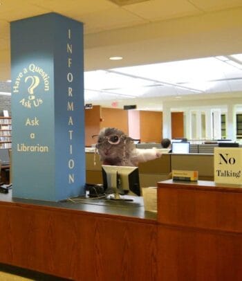 Photoshop Battle: Tiny Hamster With a Cast (GALLERY)