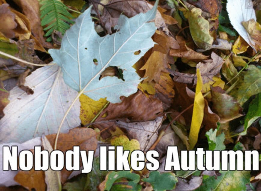 funny-autumn-memes - WorldWideInterweb