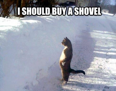 cat_snow_memes.JPG - WorldWideInterweb