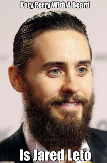 Female Pop Stars With Beards (GALLERY)