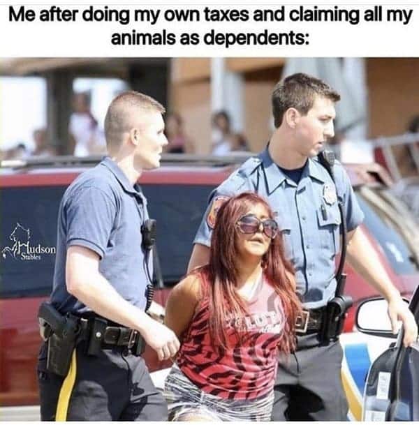 the-funniest-tax-season-memes-ever-gallery - WorldWideInterweb the-funniest-tax-season-memes-ever-gallery - WorldWideInterweb