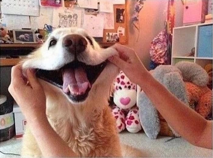 The Most Important Pictures On The Internet According To Google GALLERY