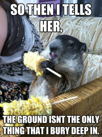 groundhog-meme - WorldWideInterweb