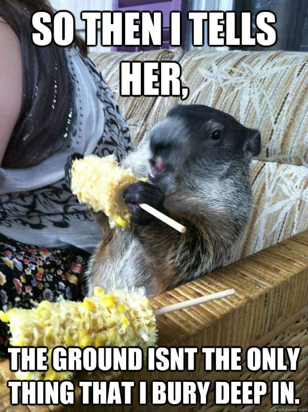It s Groundhog Day Again 20 PICTURES WorldWideInterweb