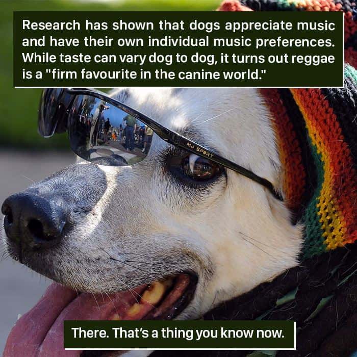 Weird Animal Facts Are Way Better Than Boring Human Facts Weird Animal Facts Are Way Better Than Boring Human Facts