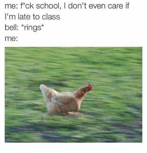 late-meme-chicken-class - WorldWideInterweb