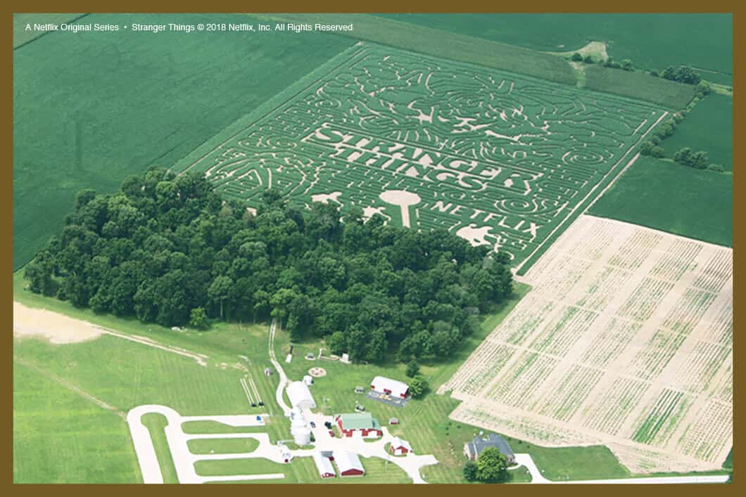 stranger_things_corn_maze_2 - WorldWideInterweb