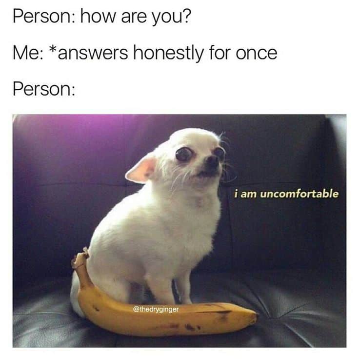 30-memes-youll-laugh-at-if-youre-a-pro-at-avoiding-confrontation ...
