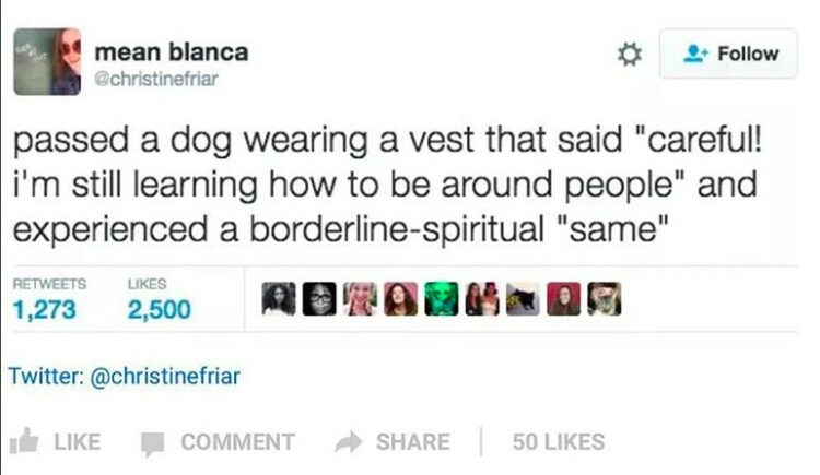 19 Memes You’ll Laugh At If You’re A Pro At Avoiding Confrontation