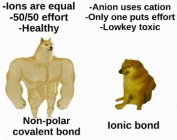 41 Funny Chemistry Memes That’ll Make You React More Than Potassium In ...