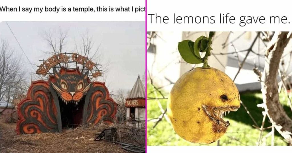 56 Funny Dark Humor Memes For Those Who Find The Silver Lining in a ...