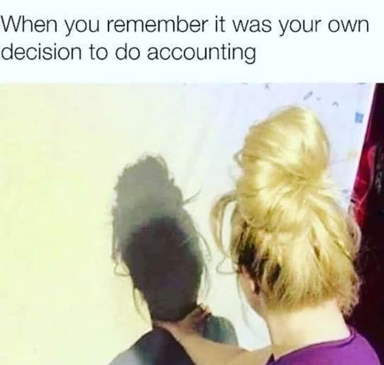 55 Accounting And Tax Memes That Put Humor On The Ledger