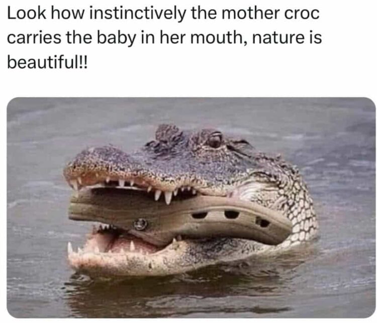 57 Funny Dad Joke Memes That'll Make The Whole Family Groan From ...