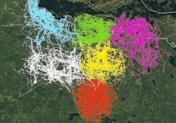 26 Incredible Maps That Will Make You Want to Get Utterly Lost