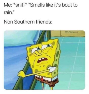 50 Hilarious Southern Memes That’ll Make Y’all Laugh Harder Than A ...