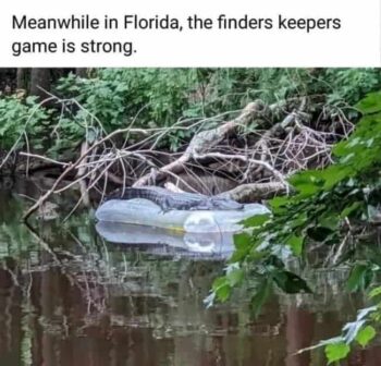 50 Hilarious Southern Memes That’ll Make Y’all Laugh Harder Than A ...