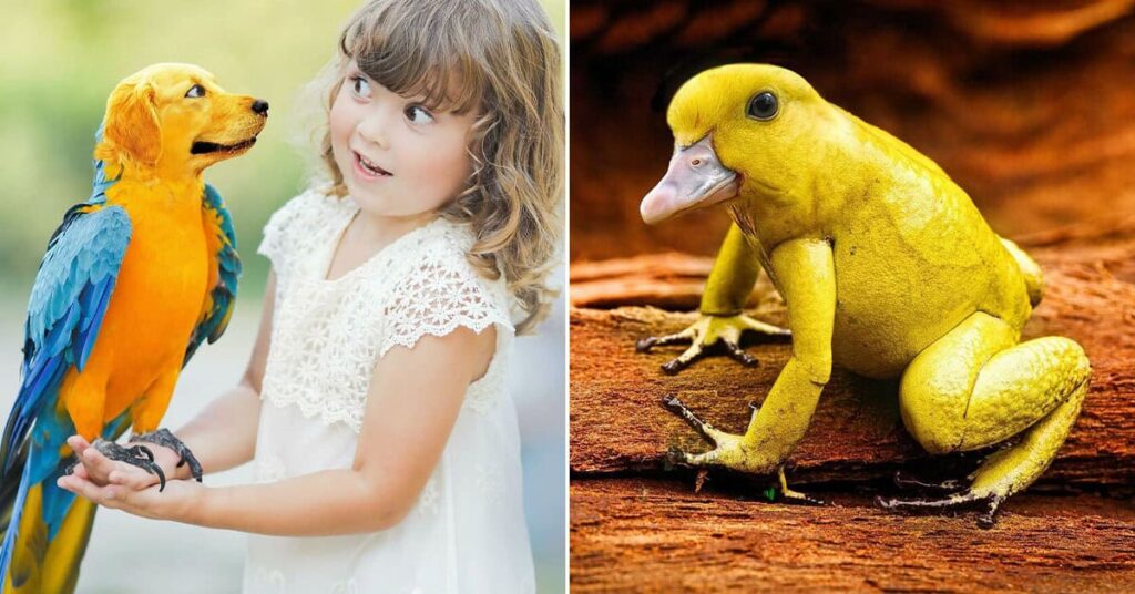 52 Absurd Animal Mashups Created By One Artist’s Photoshop-Fueled ...