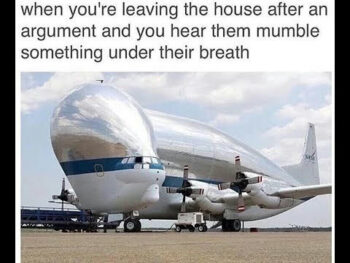30 Funny Airplane Memes For Fed-Up Travelers To Read During Their 6 ...