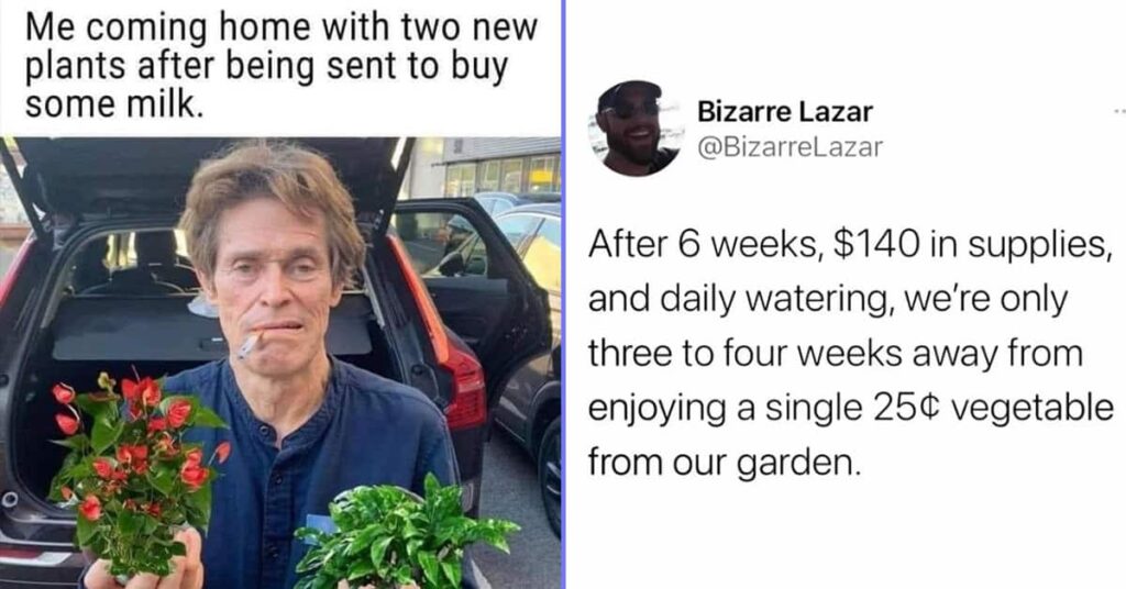 40 Funny Gardening Memes For People Who Love Their Plants Like Children