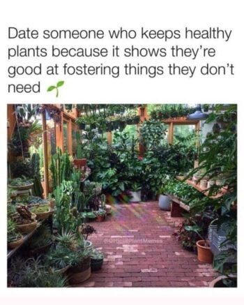 40 Funny Gardening Memes For People Who Love Their Plants Like Children