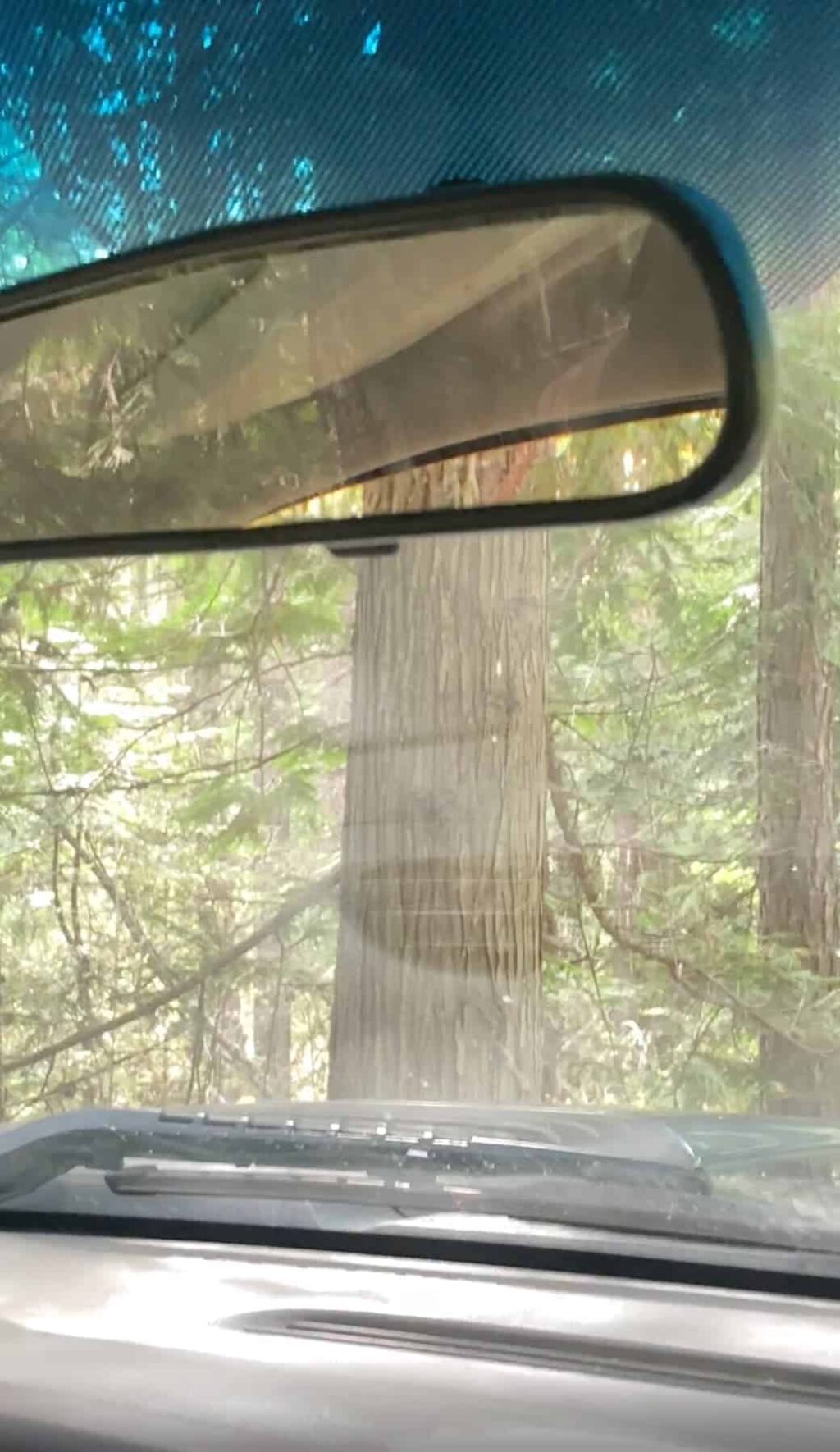 20 Creepy Photos Showing Real-Life Glitches In The Matrix