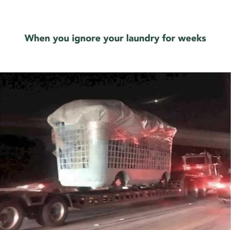 21 Funny Laundry Memes For Wrinkle Free Laughs Left Hanging Out To Dry
