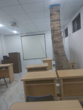 40 Creative And Interesting Things At Schools That Make Learning Way ...