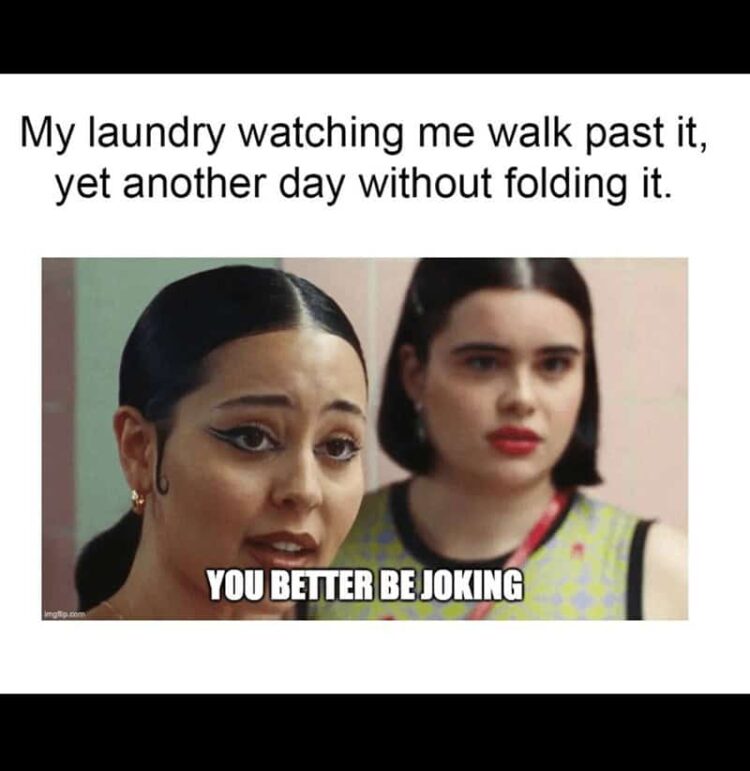21 Funny Laundry Memes For Wrinkle Free Laughs Left Hanging Out To Dry