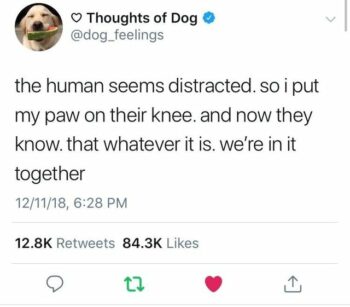 30 Positive Memes That Are Guaranteed To Lift Your Spirits