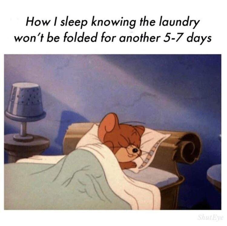 21 Funny Laundry Memes For Wrinkle Free Laughs Left Hanging Out To Dry