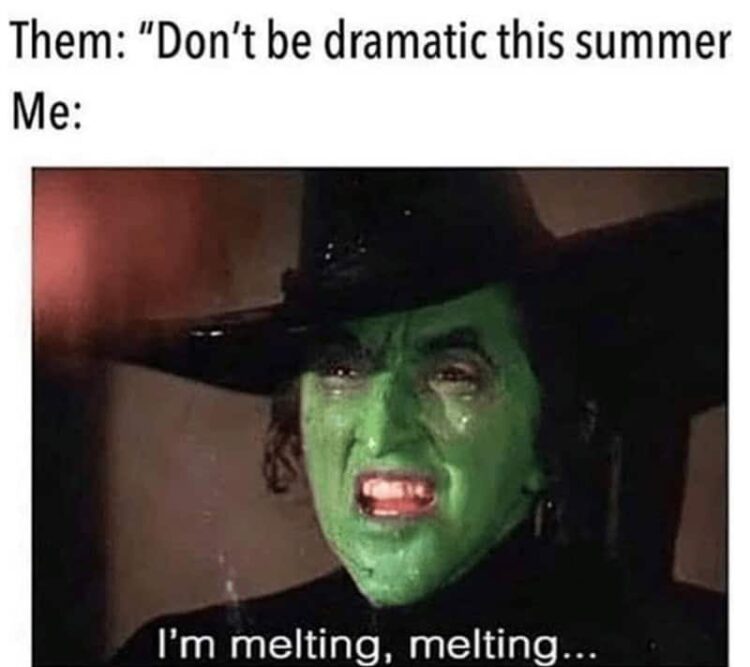 28 Summer Memes To Stay Cooler Than A Popsicle in July