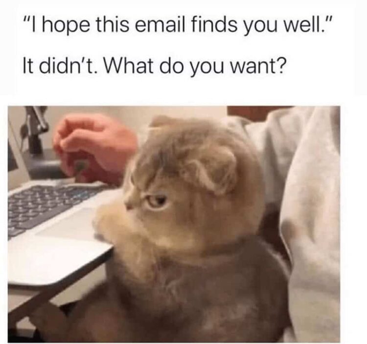 28 Funny Work Email Memes We Hope Find You Well