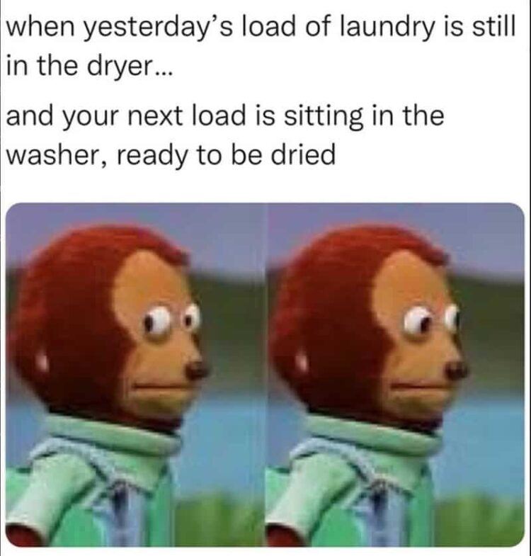 21 Funny Laundry Memes For Wrinkle Free Laughs Left Hanging Out To Dry
