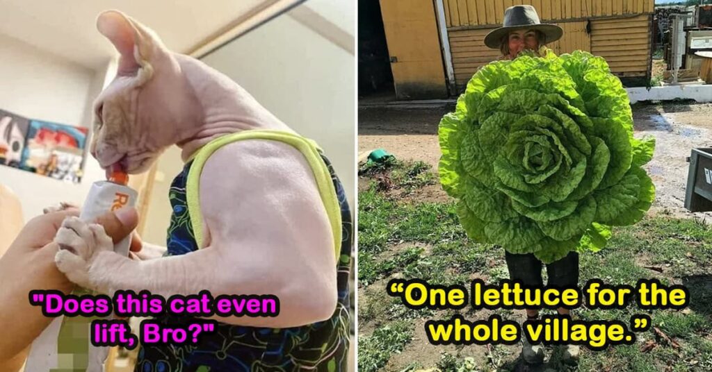 22 Massive Objects That Are Absolute Units And Will Crush Your Sense Of ...