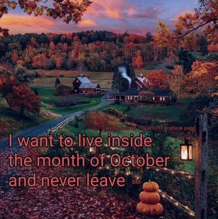 29 End of Summer Memes For Girls Who Love Fall And Sweater Weather Over ...