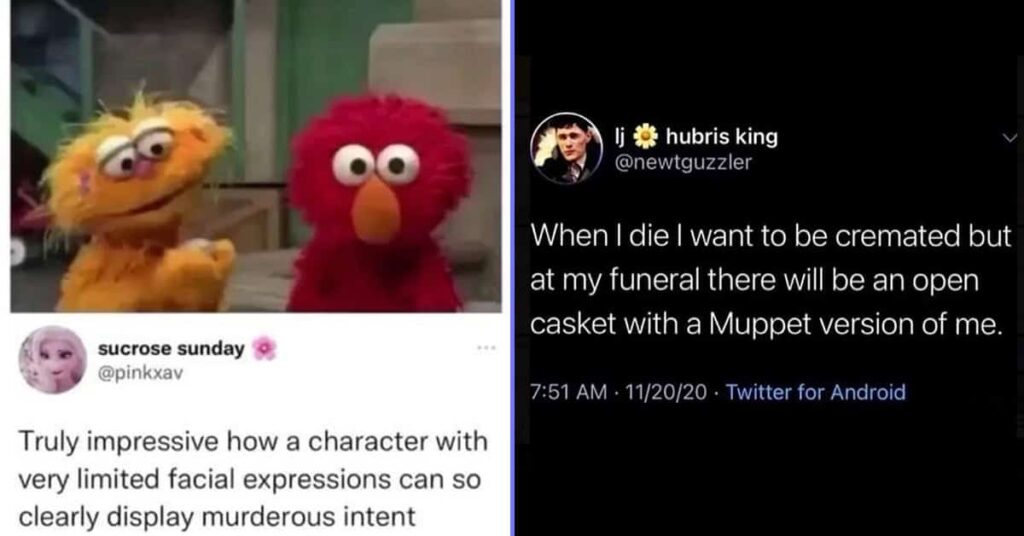 20+ Funny Muppets Memes For Fans Of The World's Favorite Puppet Ensemble