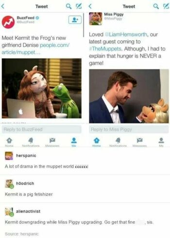 20+ Funny Muppets Memes For Fans Of The World's Favorite Puppet Ensemble