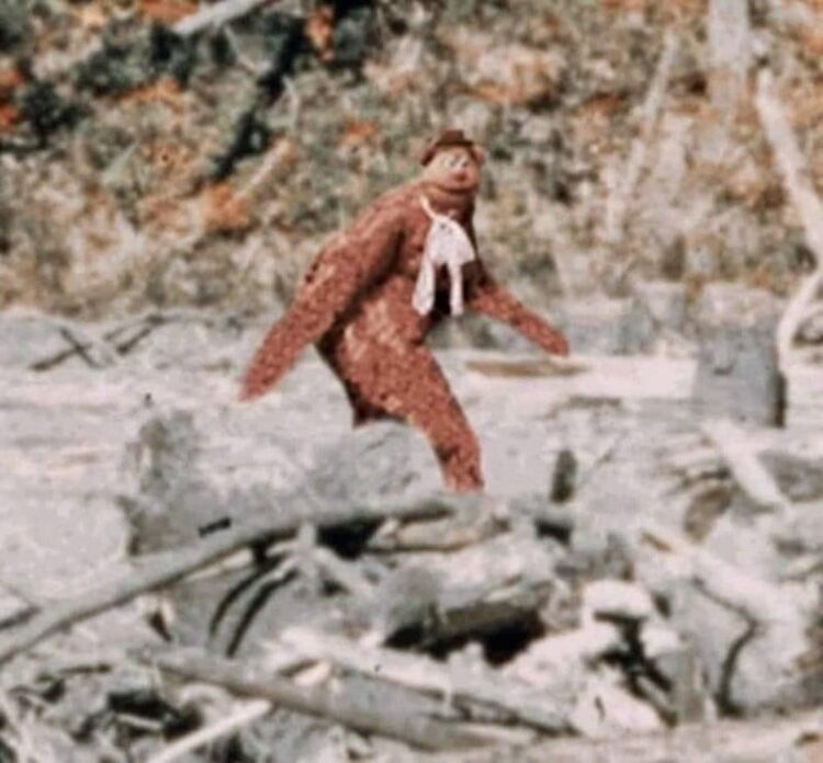 20+ Funny Muppets Memes For Fans Of The World's Favorite Puppet Ensemble