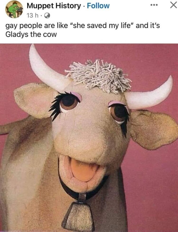 20+ Funny Muppets Memes For Fans Of The World's Favorite Puppet Ensemble