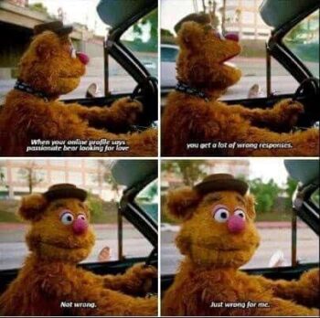 20+ Funny Muppets Memes For Fans Of The World's Favorite Puppet Ensemble