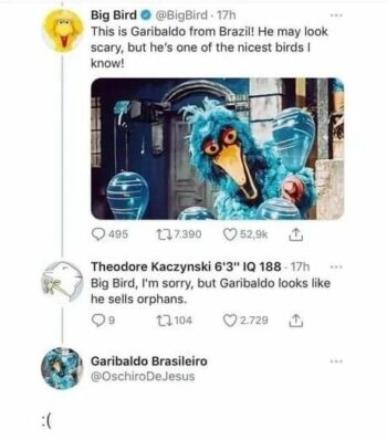 20+ Funny Muppets Memes For Fans Of The World's Favorite Puppet Ensemble