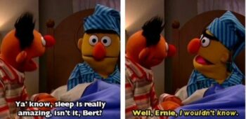 20+ Funny Muppets Memes For Fans Of The World's Favorite Puppet Ensemble